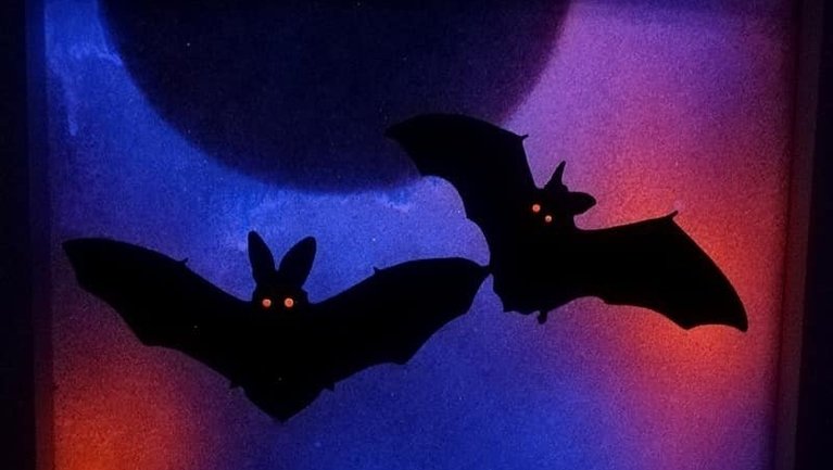 PAŽINTIS SU ŠIKŠNOSPARNIAIS